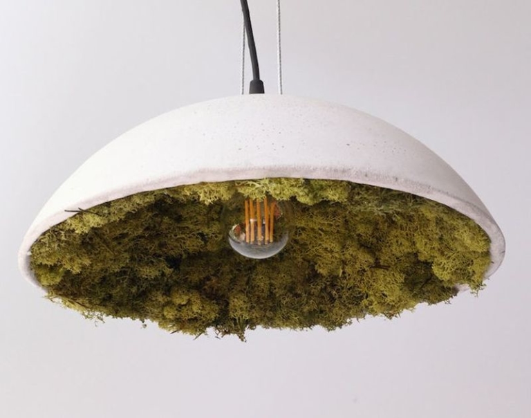 Wall Clock & Ceiling Lamp Made From Natural Moss