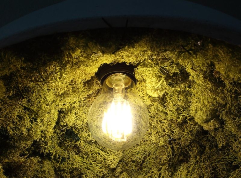 Wall Clock & Ceiling Lamp Made From Natural Moss
