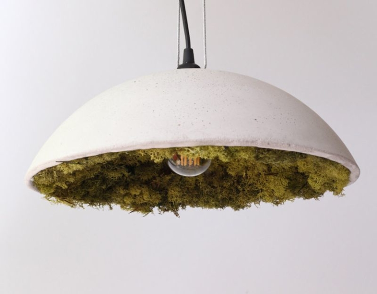 Wall Clock & Ceiling Lamp Made From Natural Moss