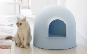 Award-Winning Igloo Cat Litter Box by Pidan Studio