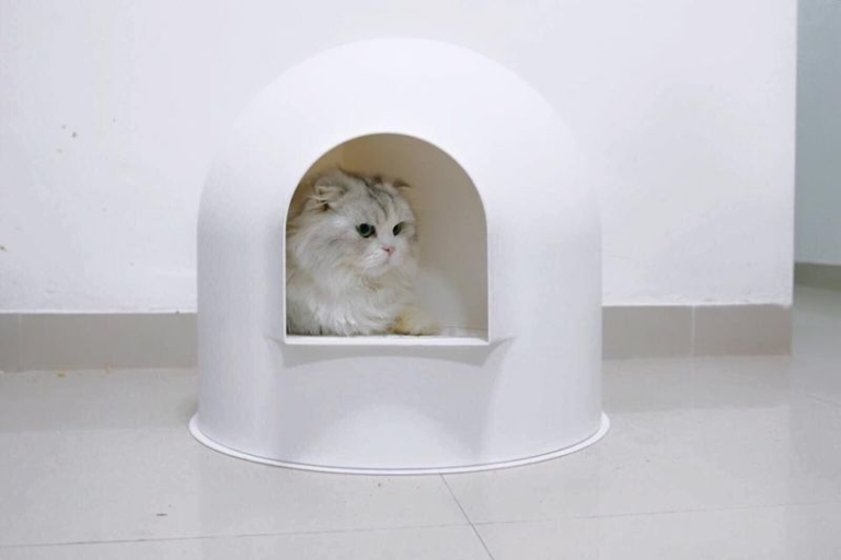 Award-Winning Igloo Cat Litter Box by Pidan Studio