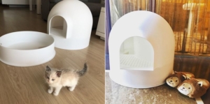 Award-Winning Igloo Cat Litter Box by Pidan Studio