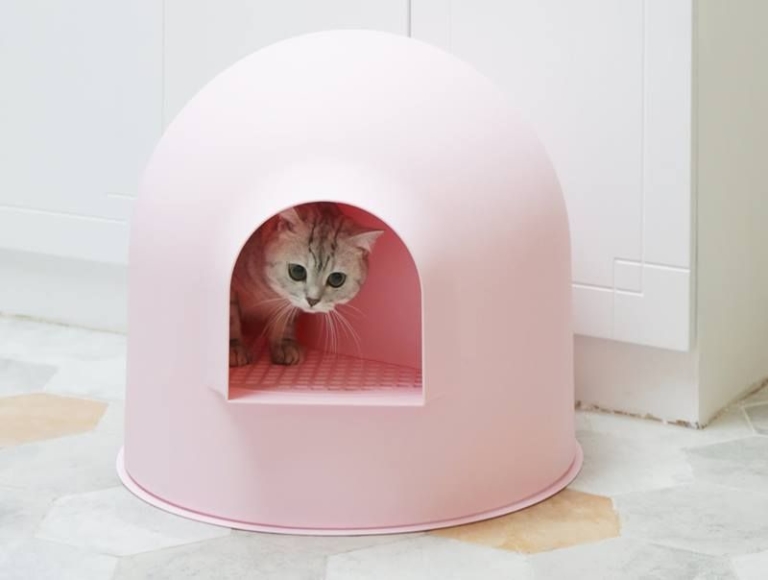 Award-Winning Igloo Cat Litter Box by Pidan Studio