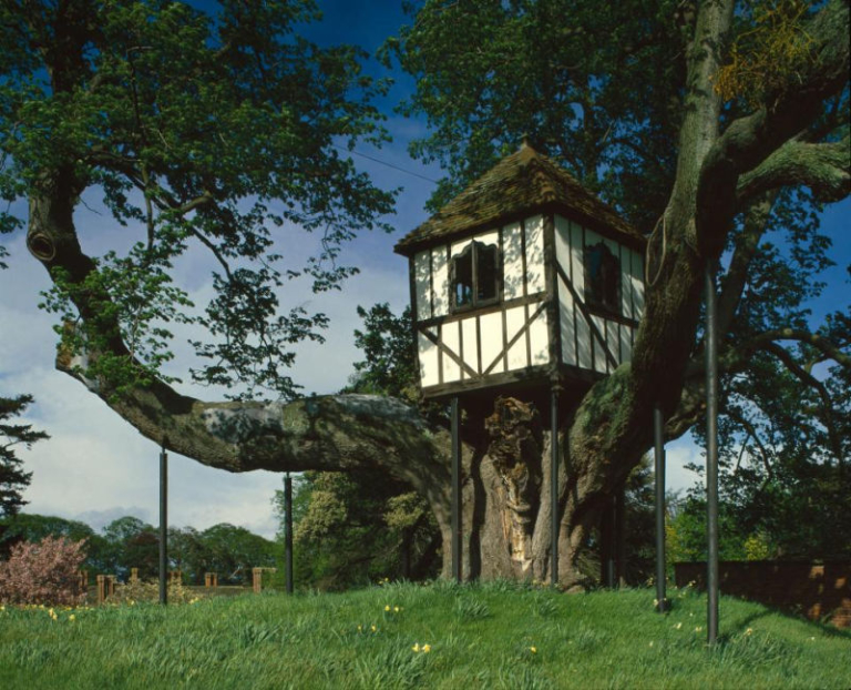 World’s oldest treehouse in Pitchford imbibes Queen Victoria's ...