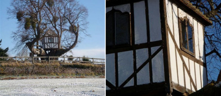World’s oldest treehouse in Pitchford imbibes Queen Victoria's ...