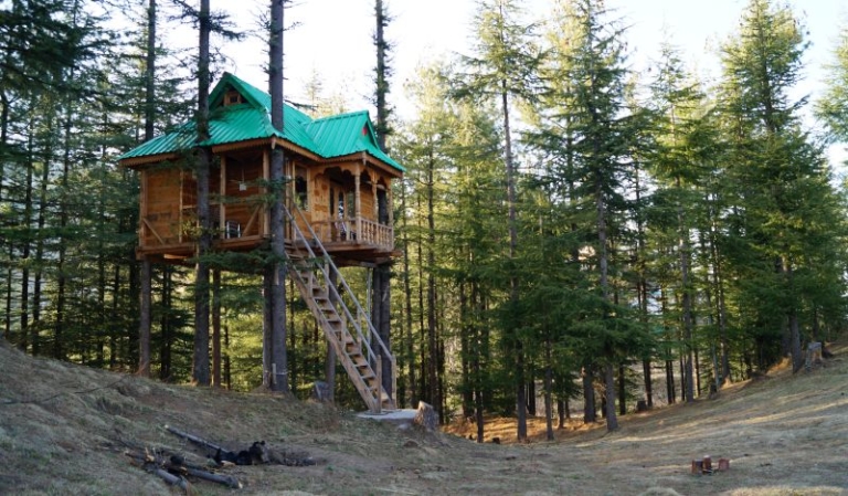 This Himalayan treehouse perched on deodar trees offers 360-degree view ...