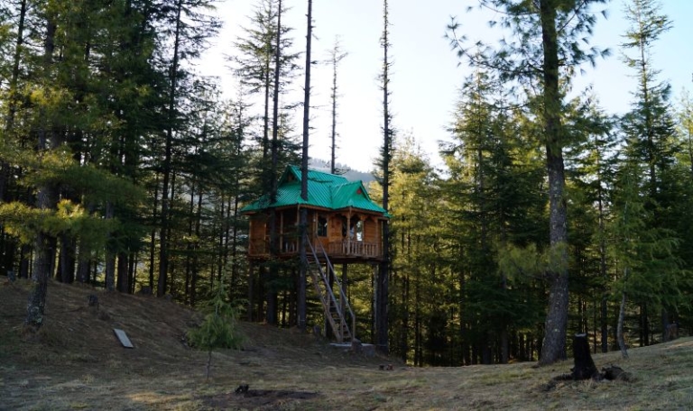 This Himalayan treehouse perched on deodar trees offers 360-degree view ...