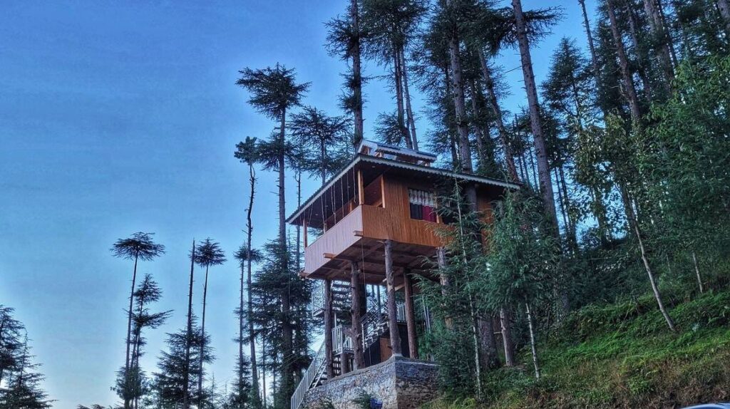 This Himalayan treehouse perched on deodar trees offers 360-degree view ...