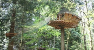 30 Best Treehouse Hotels and Rentals in the World