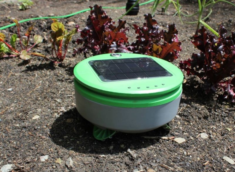Tertill solar-powered weeding robot for your garden