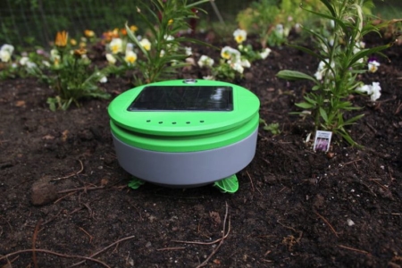 Tertill solar-powered weeding robot for your garden