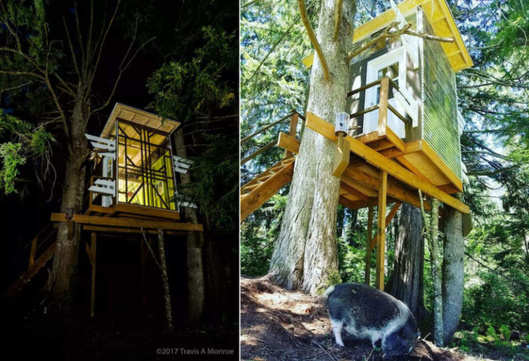 Mountain Views B&B Retreat in Monroe Offers Pot-Friendly Treehouses