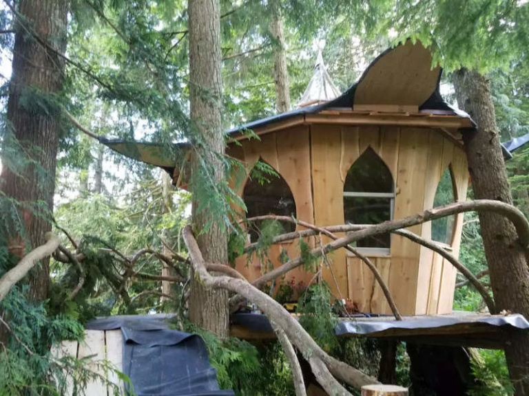 Mountain Views B&B Retreat in Monroe Offers Pot-Friendly Treehouses