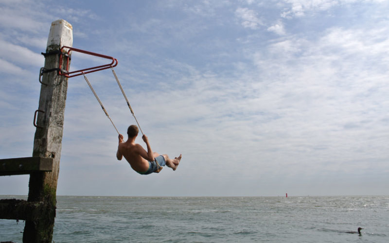26 Unique Swings You'd Want in Your Backyard Right Now
