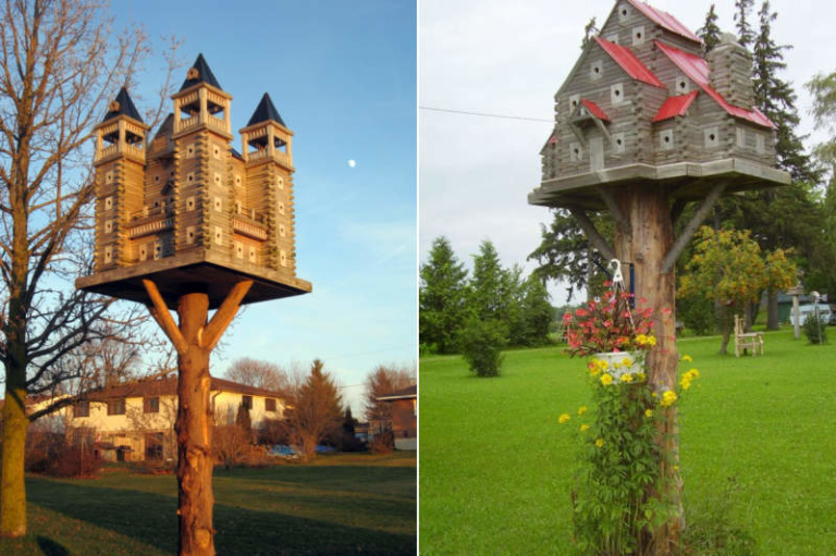 These luxury birdhouses feature fly-through tunnels and swimming pools
