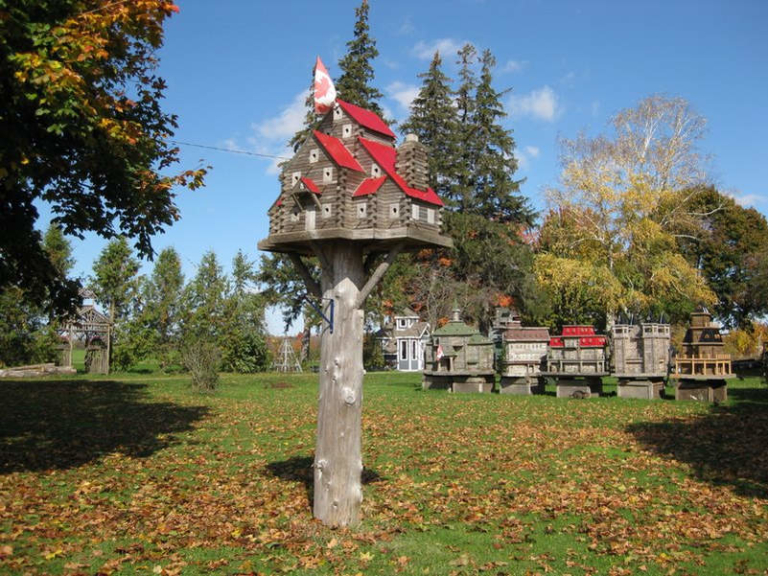 These luxury birdhouses feature fly-through tunnels and swimming pools