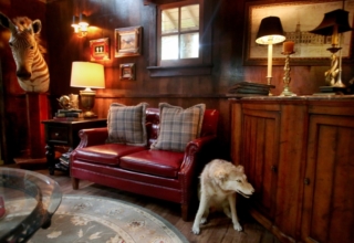 'Ultimate Man Cave' - Dream treehouse of a magician