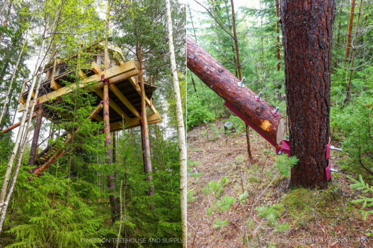 Take a look at Pete Nelson’s first ever international treehouse in Norway