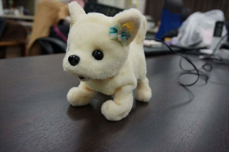 This fluffy Japanese robot dog faints in response to stinky feet