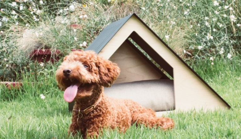 15 Architectural Doghouses That'll Put Your Home to Shame