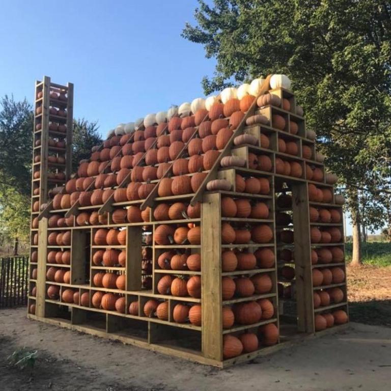 Pumpkin House: A Great Way to Spice up Your Backyard This Halloween