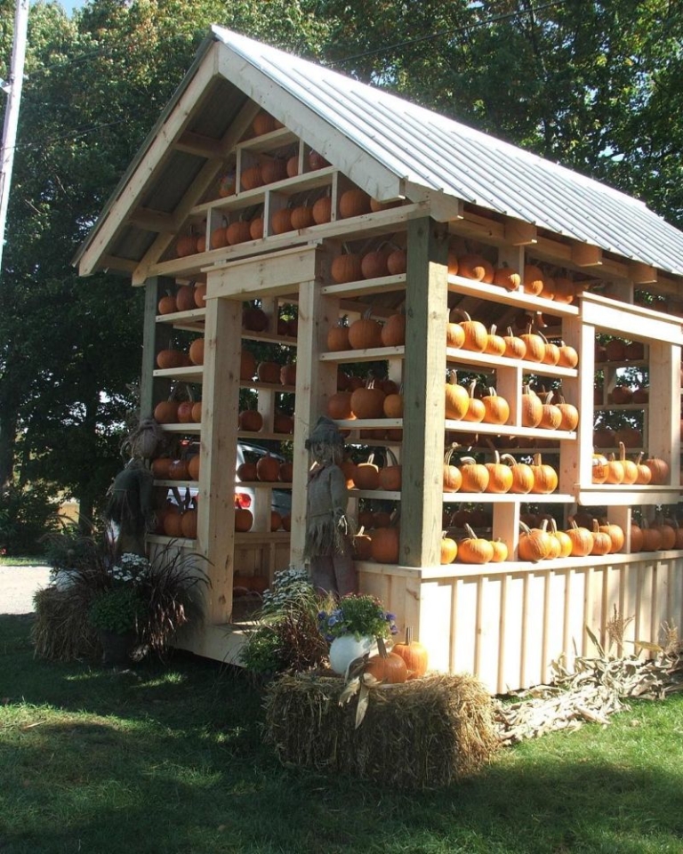 Pumpkin House: A Great Way to Spice up Your Backyard This Halloween