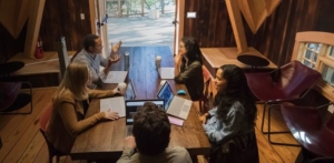 Microsoft builds technology-enabled treehouse workspaces for employees