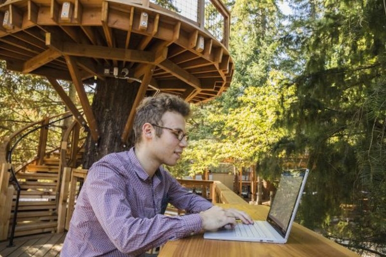 Microsoft builds technology-enabled treehouse workspaces for employees