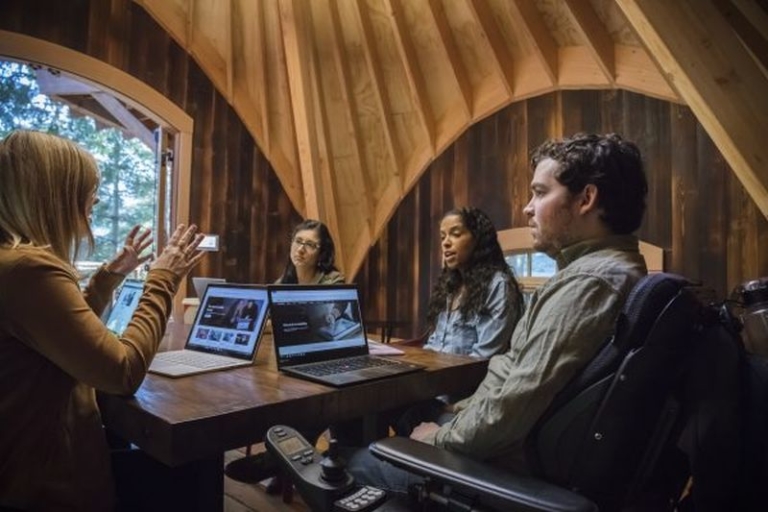 Microsoft builds technology-enabled treehouse workspaces for employees