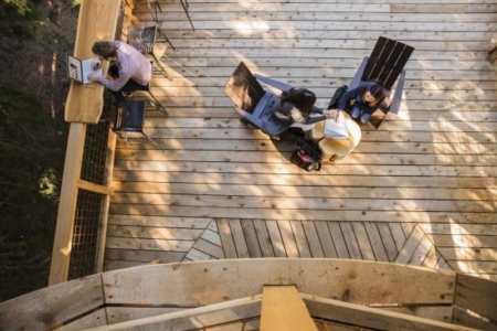 Microsoft builds technology-enabled treehouse workspaces for employees