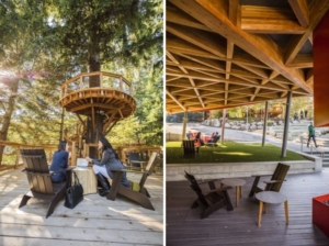 Microsoft builds technology-enabled treehouse workspaces for employees