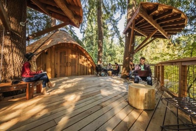 Microsoft builds technology-enabled treehouse workspaces for employees
