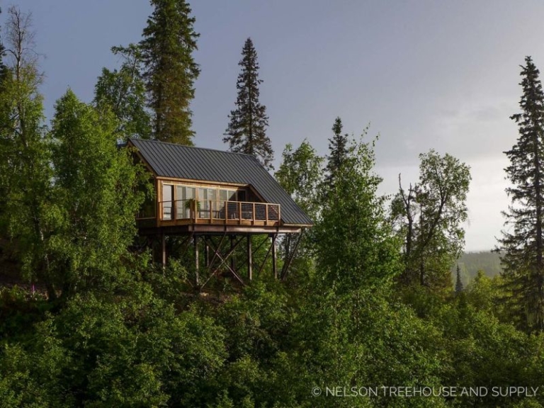 Princess Cruises’ Alaskan treehouse offers awesome views of Denali