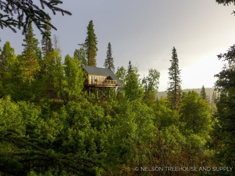 Princess Cruises’ Alaskan treehouse offers awesome views of Denali