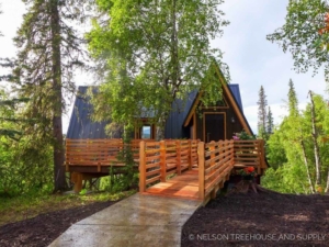 Princess Cruises’ Alaskan treehouse offers awesome views of Denali