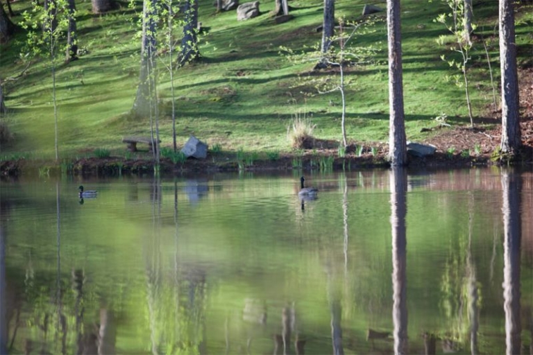 $15M Mega Mansion with Ballistic Doors & 30-Car Garage Hidden Behind ...