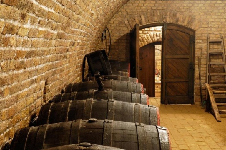 $15M Mega Mansion with Ballistic Doors & 30-Car Garage Hidden Behind ...