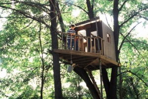 5 Things you Need to Know Before Building a Treehouse
