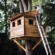 5 Things you Need to Know Before Building a Treehouse