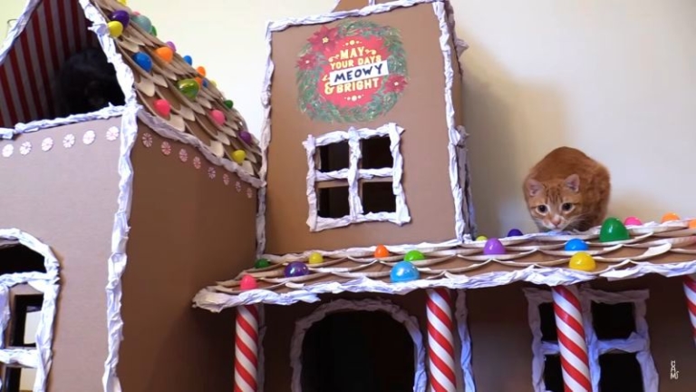 DIY gingerbread cat house - Engaging holiday project for your kids