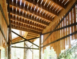 ACES Treehouse Elevated Platform gives you an Insight into the Wildlife