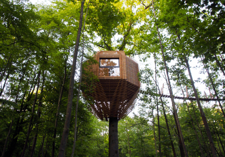 Geometric Treehouse Inspired by "Bird’s Nest" Brings You Closer to Nature