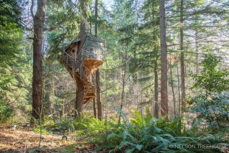 Beehive Treehouse by Pete Nelson is a Whimsical Masterpiece!