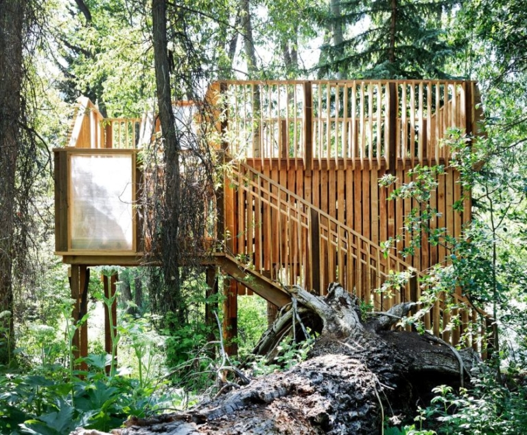 ACES Treehouse Elevated Platform gives you an Insight into the Wildlife