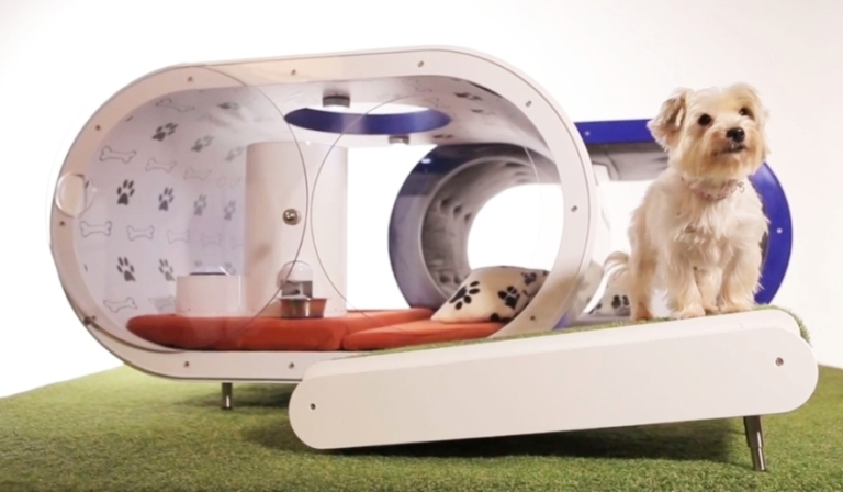 5 Best Smart Doghouses Built for Doggie Luxury