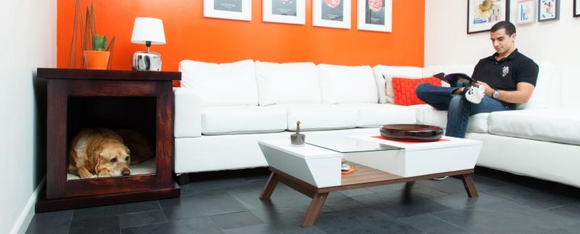 5 Best Smart Doghouses Built for Doggie Luxury