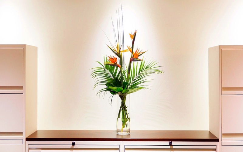 How to Decorate Your Home with Flowers (Tips & Suggestions)