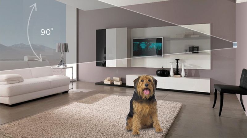 Prevent Pets From Triggering False Home Security Alarms