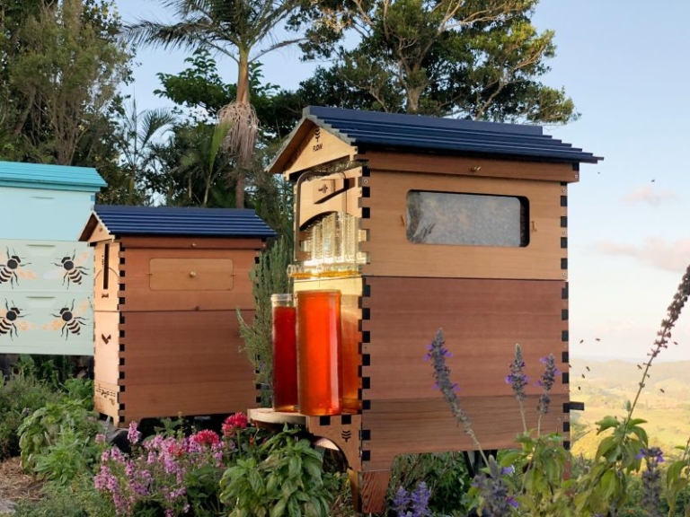 Self-Extracting Beehive Dispenses Honey Without Disturbing Bees