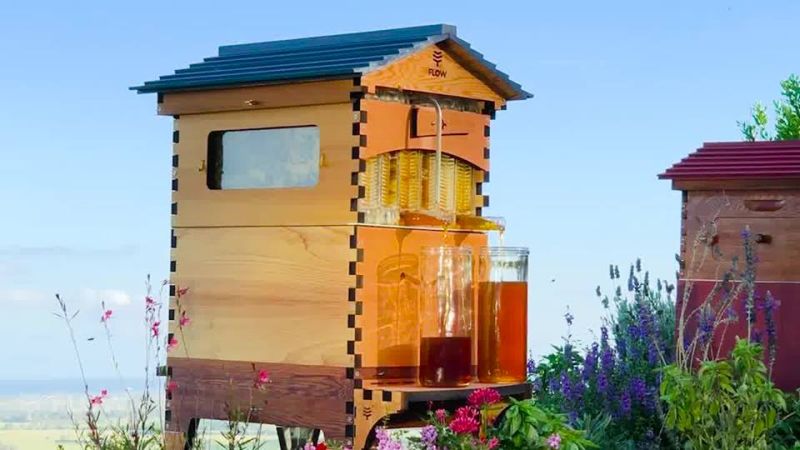 Self-Extracting Beehive Dispenses Honey Without Disturbing Bees
